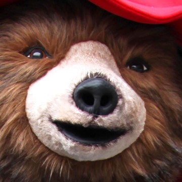 MASKOT | BEAR - PADDINGTON